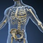 Knochenkrebs | Ihr Ratgeber Knochenkrebs